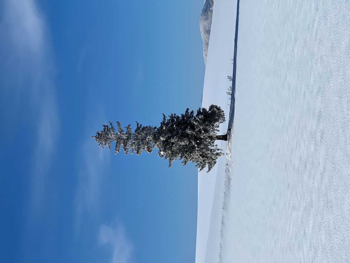 TOMOYA - 일본 홋카이도 투어